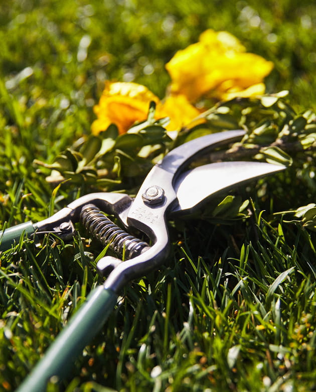 Ciseaux de jardinage Zara Home