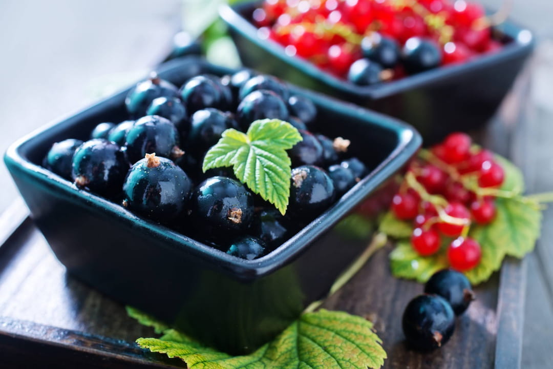 Les fruits rouges, mines de fibres