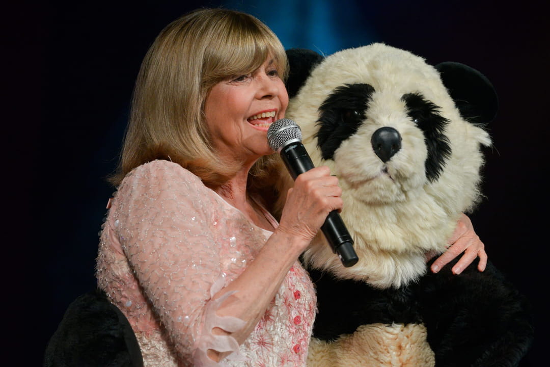 Avec Pandi-Panda, en 2015