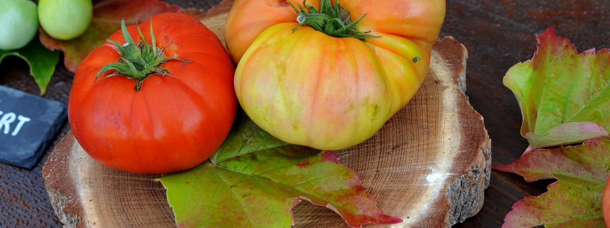 Jardin : conseil pour le jardinage, l'aménagement et la décoration du ...