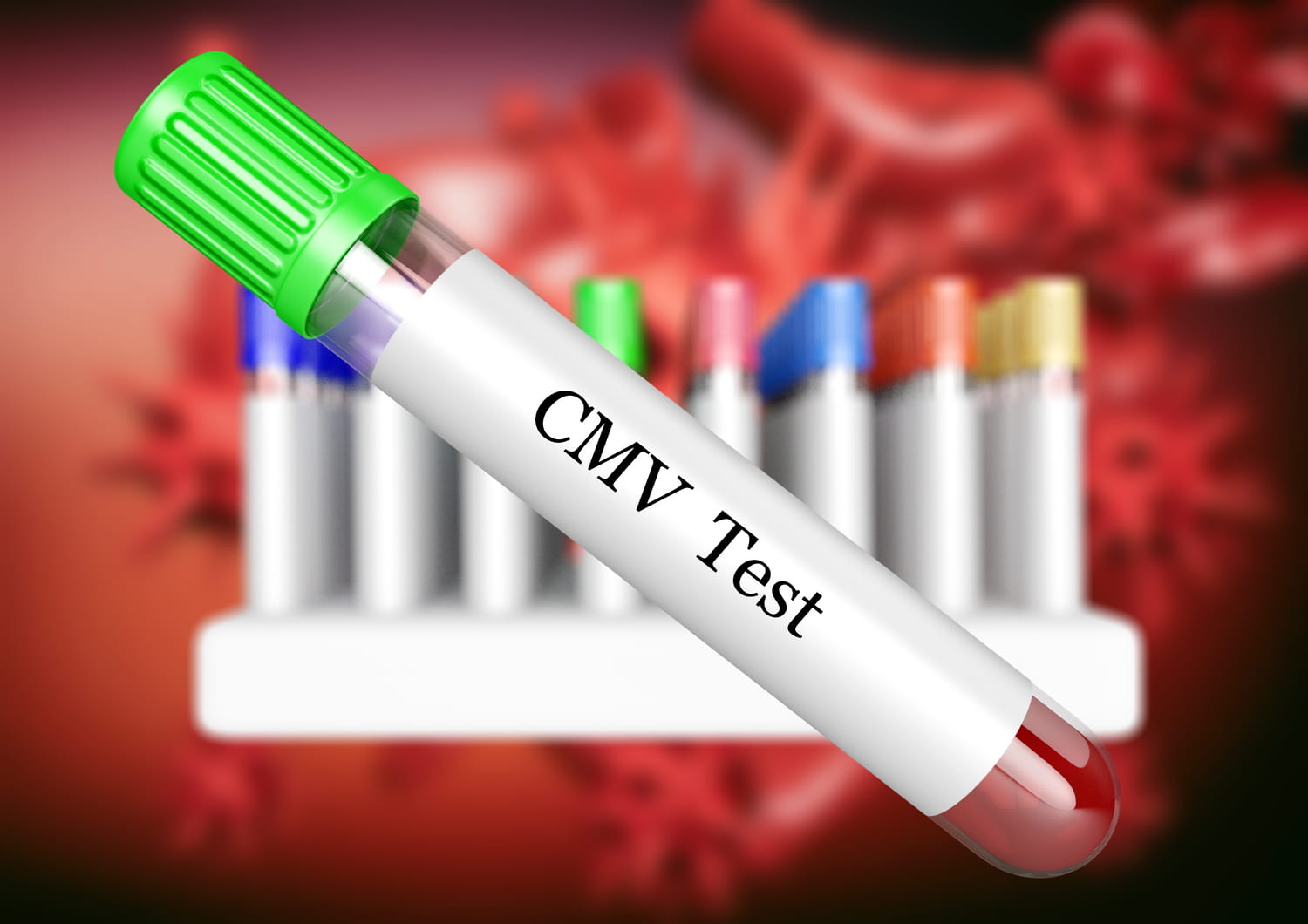 Cytomégalovirus (CMV) : symptômes, test IgG, traitement