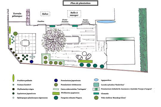 Plan des plantations