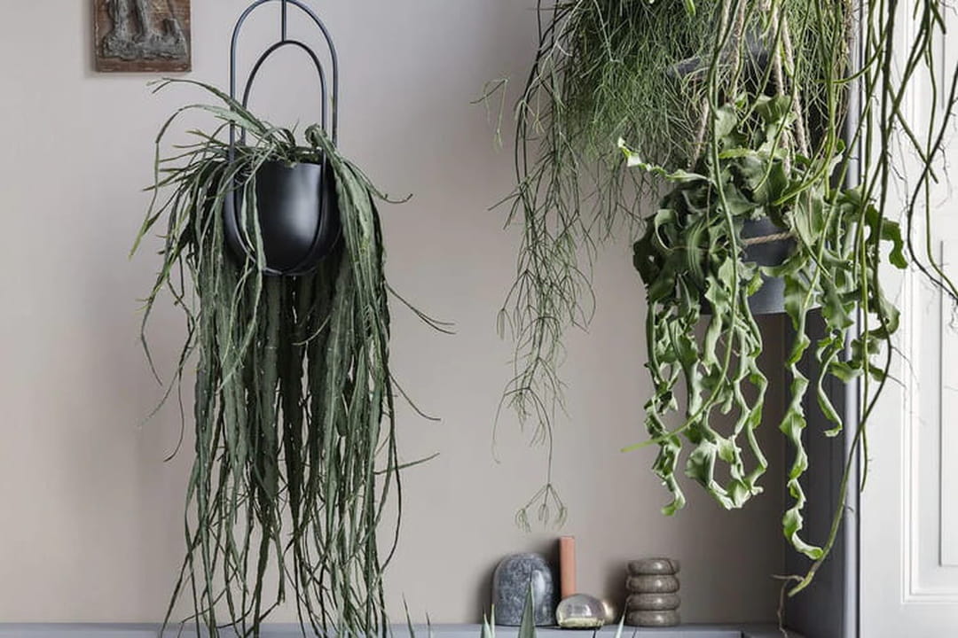 Pot de fleurs suspendu de Ferm Living