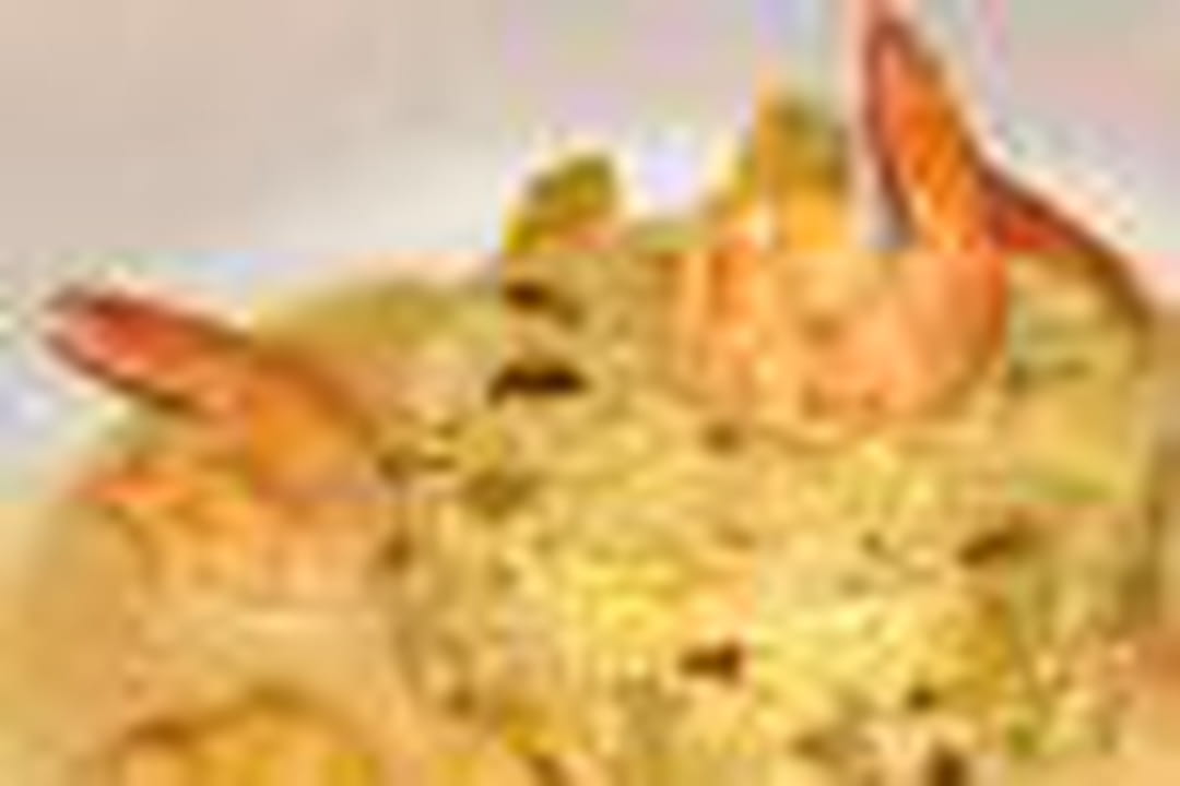 Douceur sucrée-salée