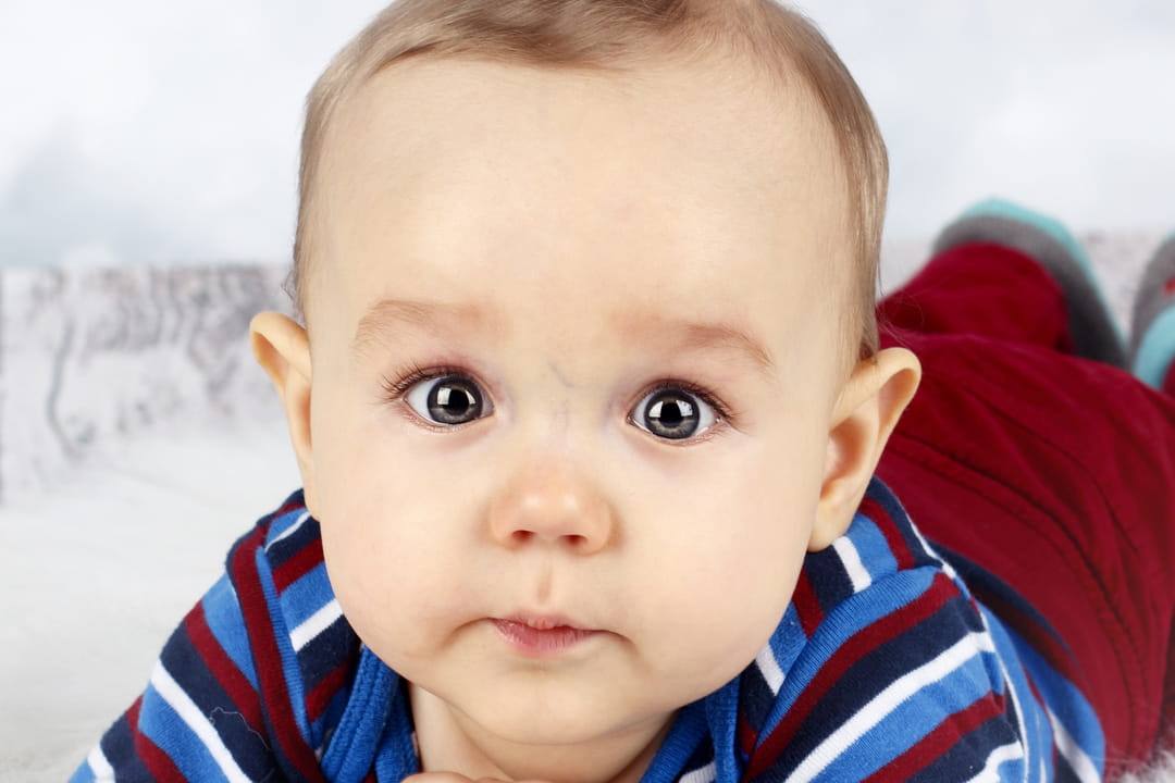 Orlandu, entreprenant