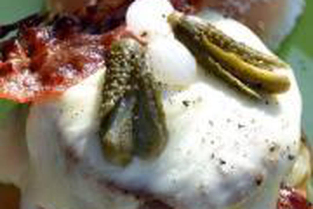Hamburger raclette
