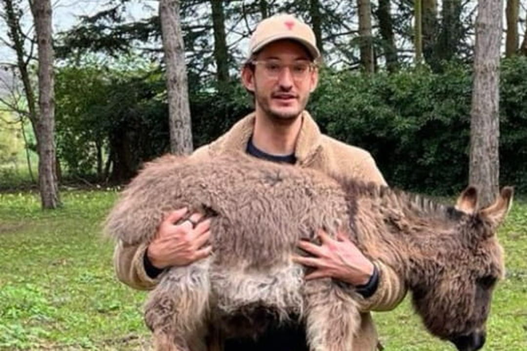 Pierre Niney fait le buzz avec son âne miniature