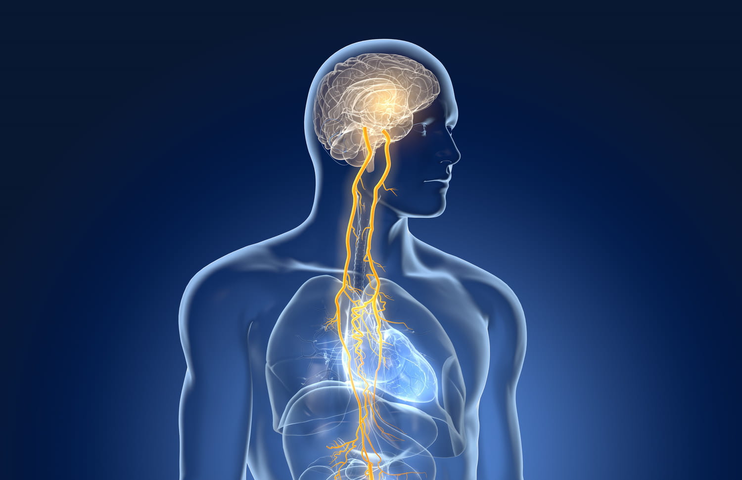 Les 3 symptômes caractéristiques de la maladie de Parkinson | Laminute.info