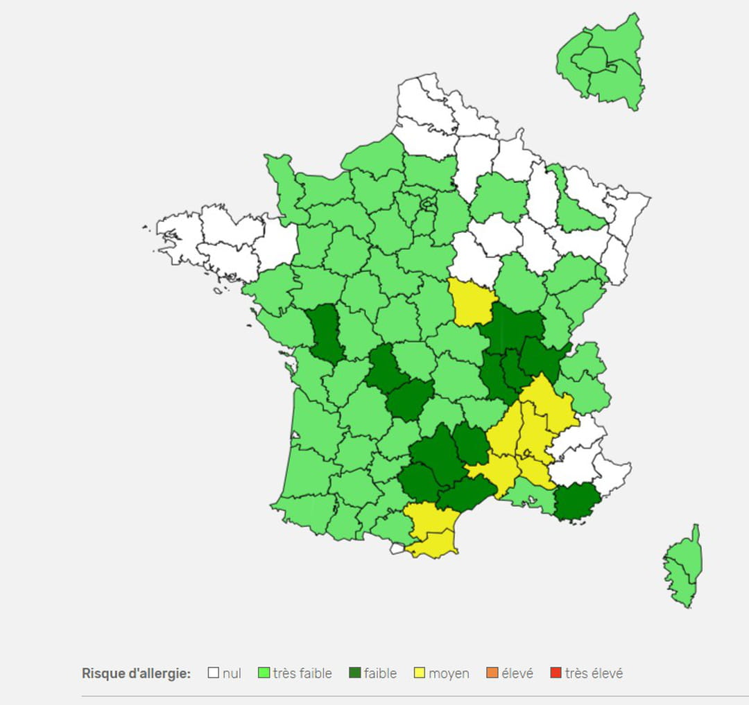 Carte des pollens : la saison pollinique touche à sa fin en France
