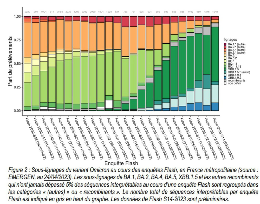Variant Covid XBB (1.5) : symptômes, majoritaire en France