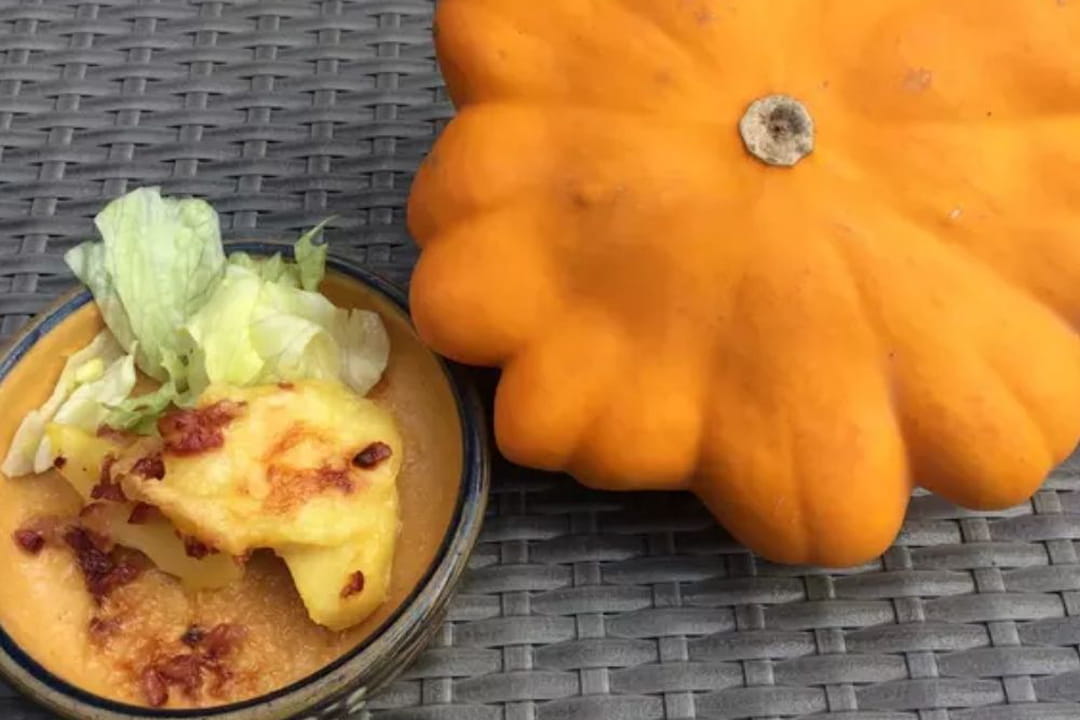 Gratin de pâtisson jaune au Munster