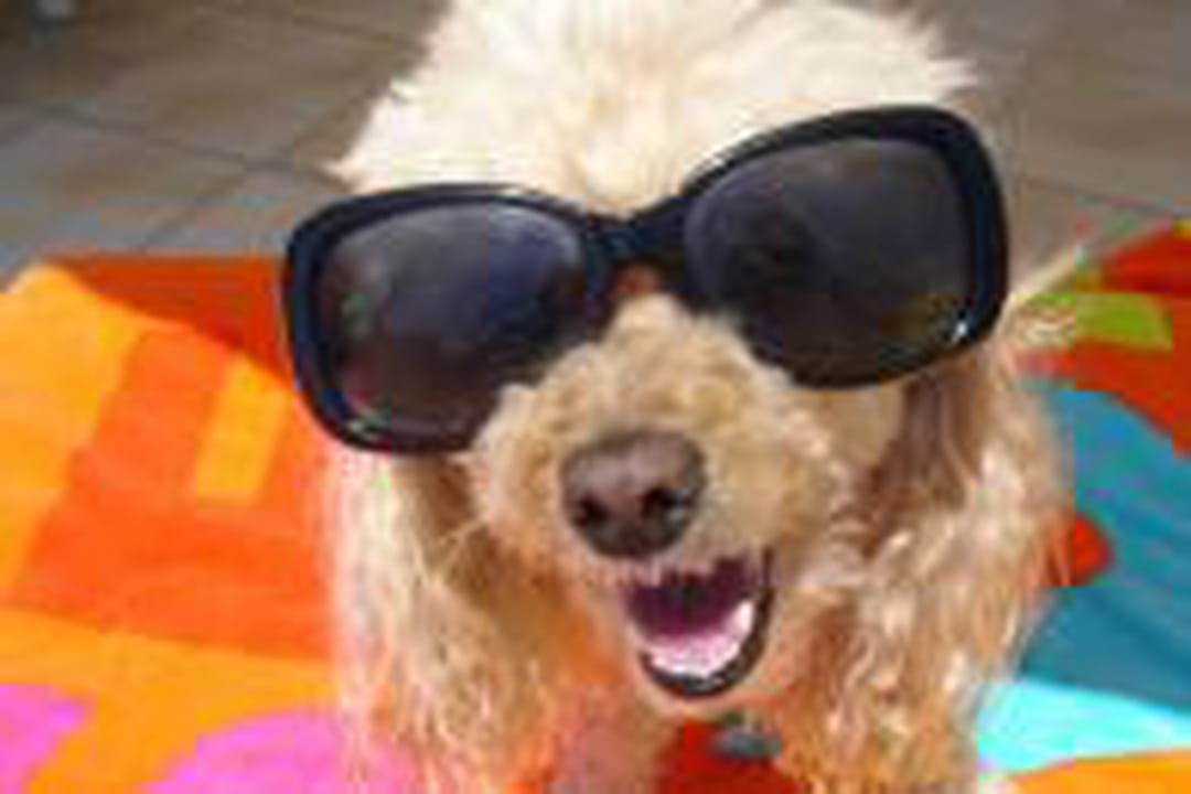 Eblouie par le soleil