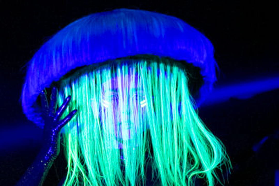 Défilé Charlie le Mindu : la coiffure méduse