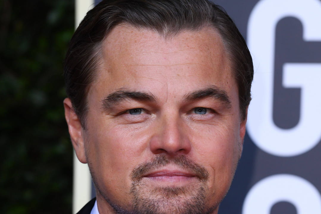 Leonardo DiCaprio : son (énorme) chèque pour la planète