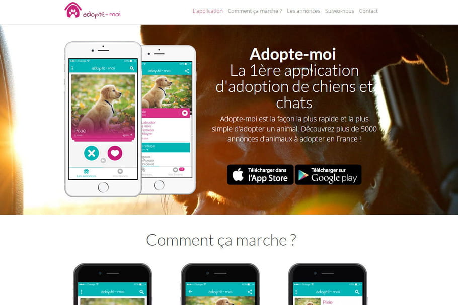 Adopte-moi : l'adoption animale en quelques clics