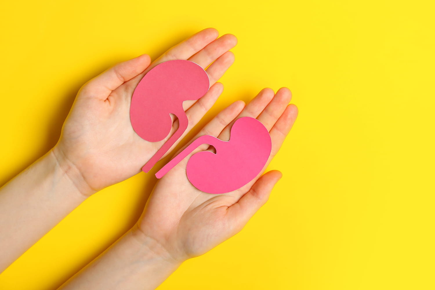 Pyélonéphrite (infection du rein) : symptômes, guérison, que faire