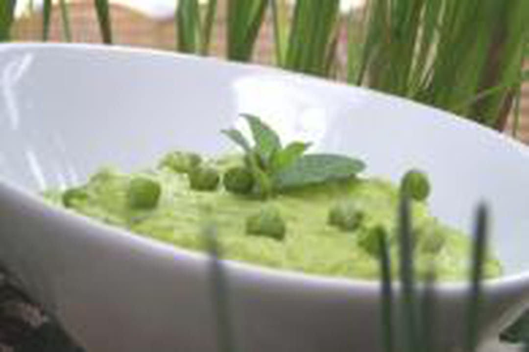 Purée verte toute fraîche