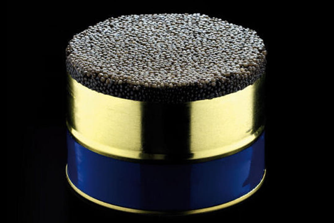 A la découverte de la fabrication du caviar Sturgeon