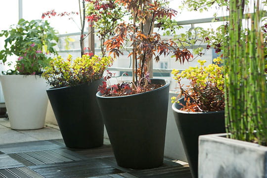 L'importance des pots