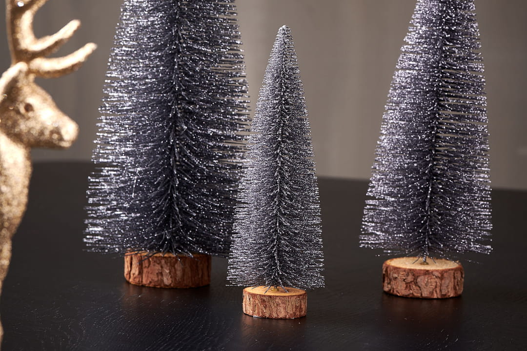 Une mini forêt sur la table