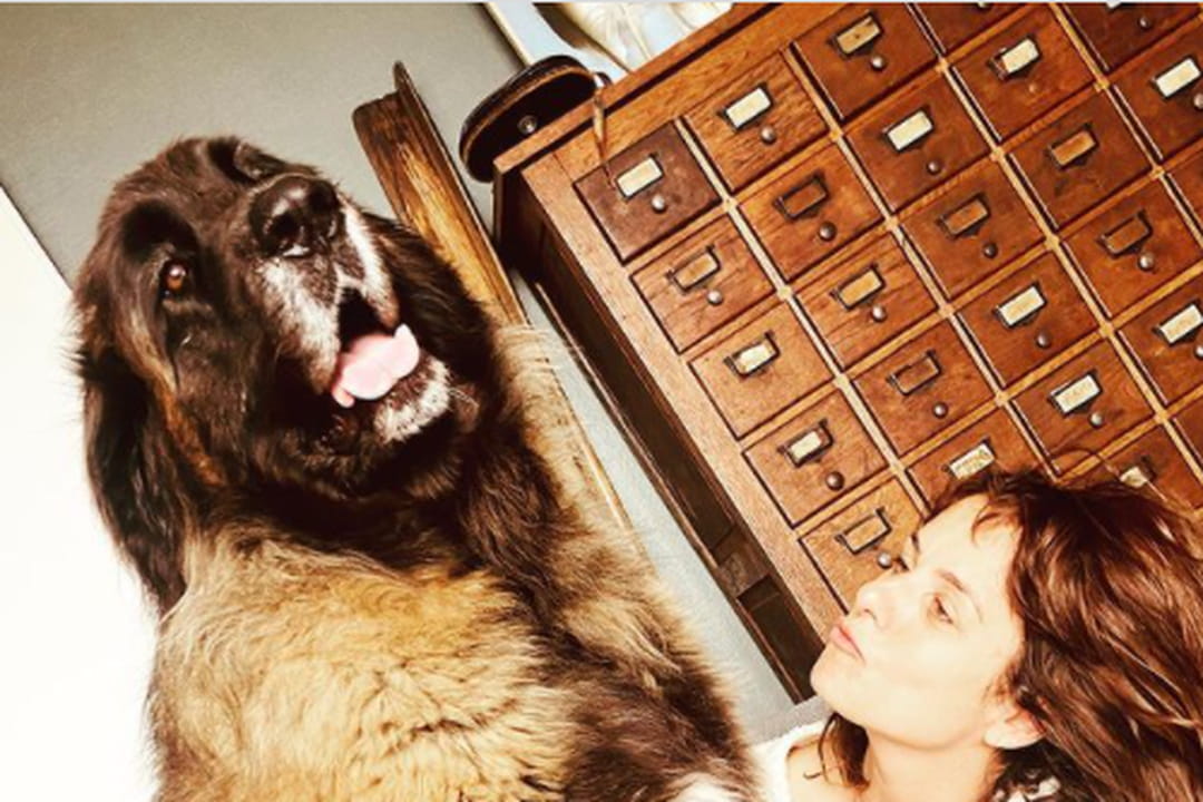 Faustine Bollaert : big câlin avec son chien Nessie