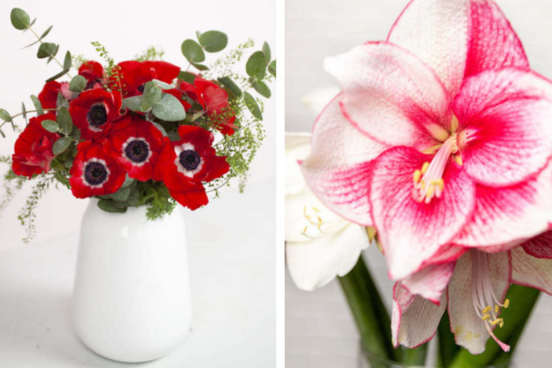 Quelles fleurs offrir pour la Saint-Valentin