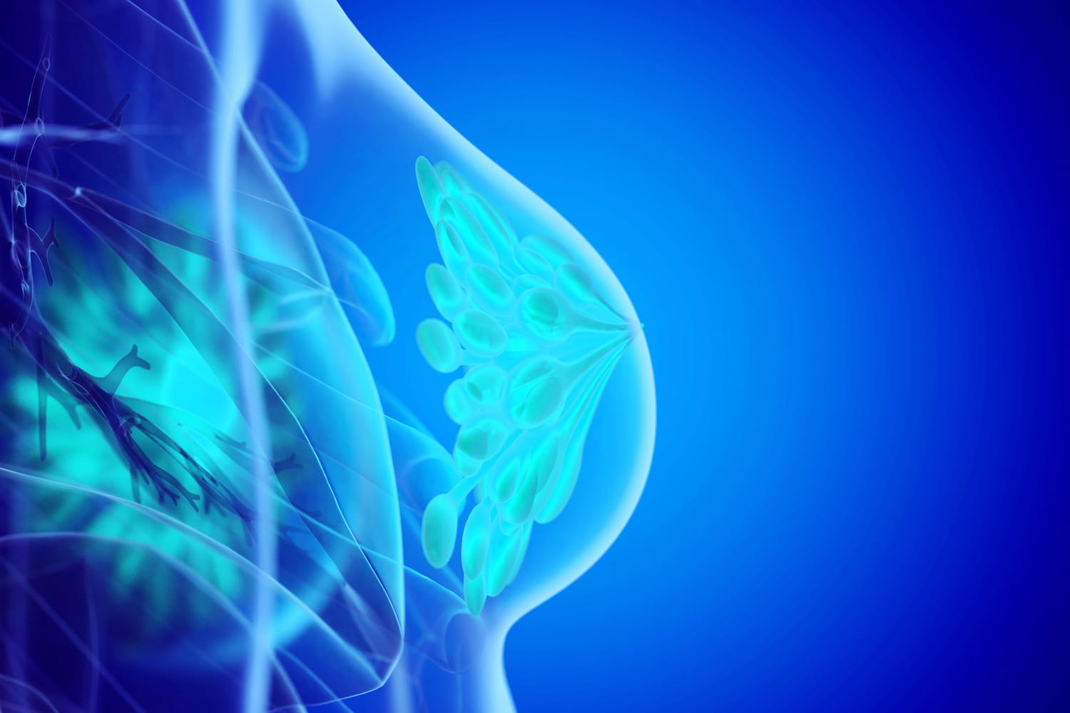 Demain Une Mammographie 3D Pour D pister Le Cancer Du Sein C est Quoi