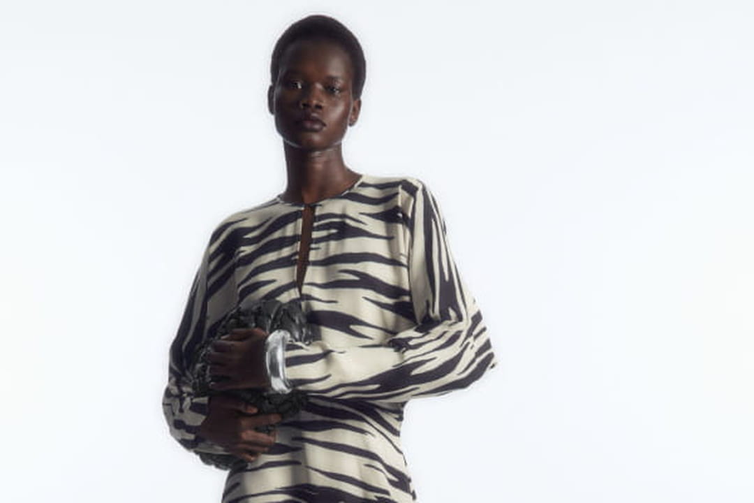 Robe à imprimé zèbre