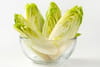 Tout sur l'endive : la choisir, la cuisiner, la conserver...