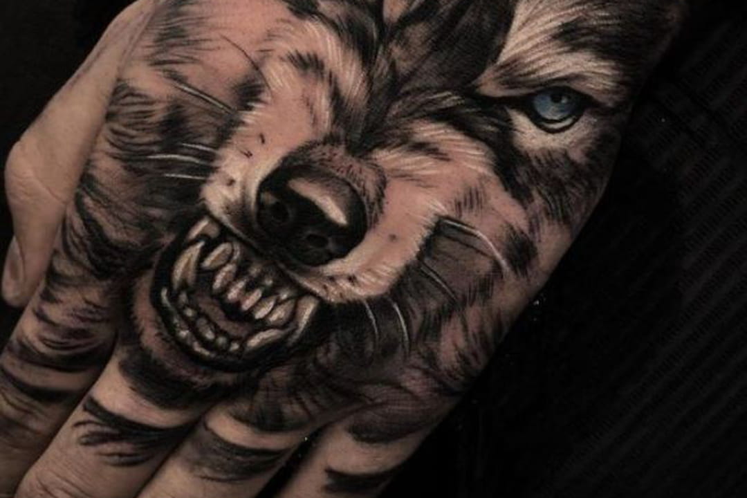 Loup terrifiant sur la main