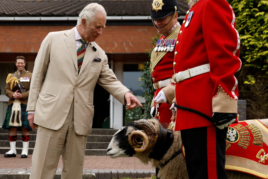 Le major Jonathan Thompson derrière le roi Charles en 2022