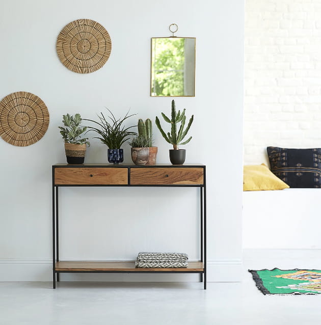 Accessoiriser une console avec une accumulation de plantes vertes