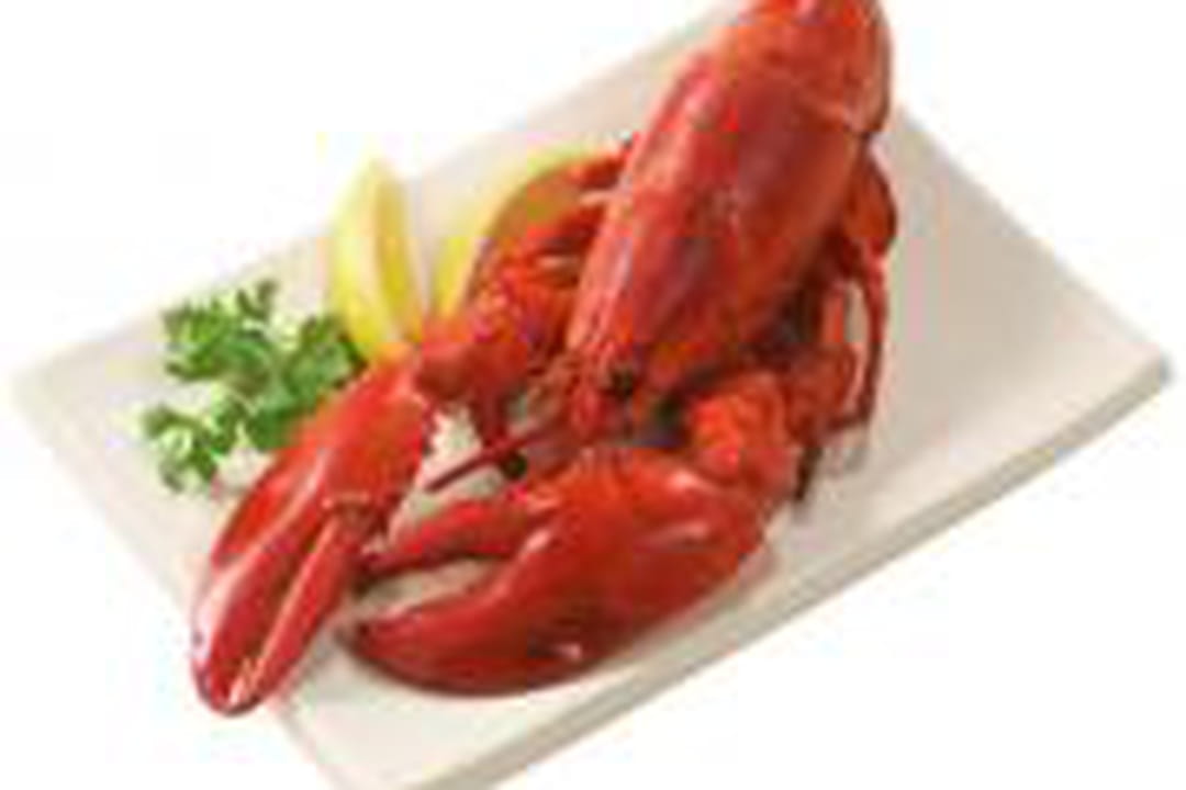 Homard cuit de DIA