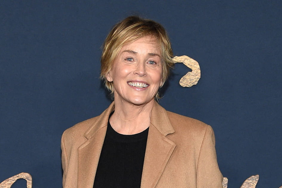 Sharon Stone, fabuleuse avec son brow lift
