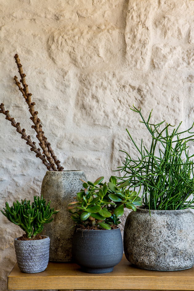 Caches-pots Blompot d'AM.PM.