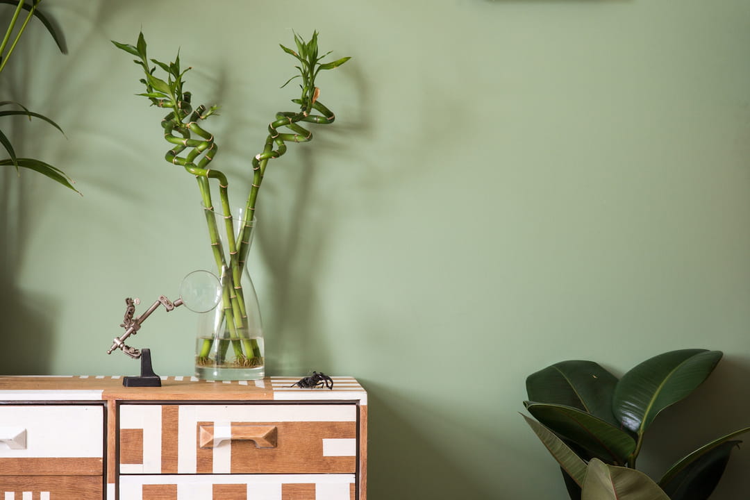 La peinture vert amande