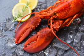 Homard : le top des recettes chics et grandioses
