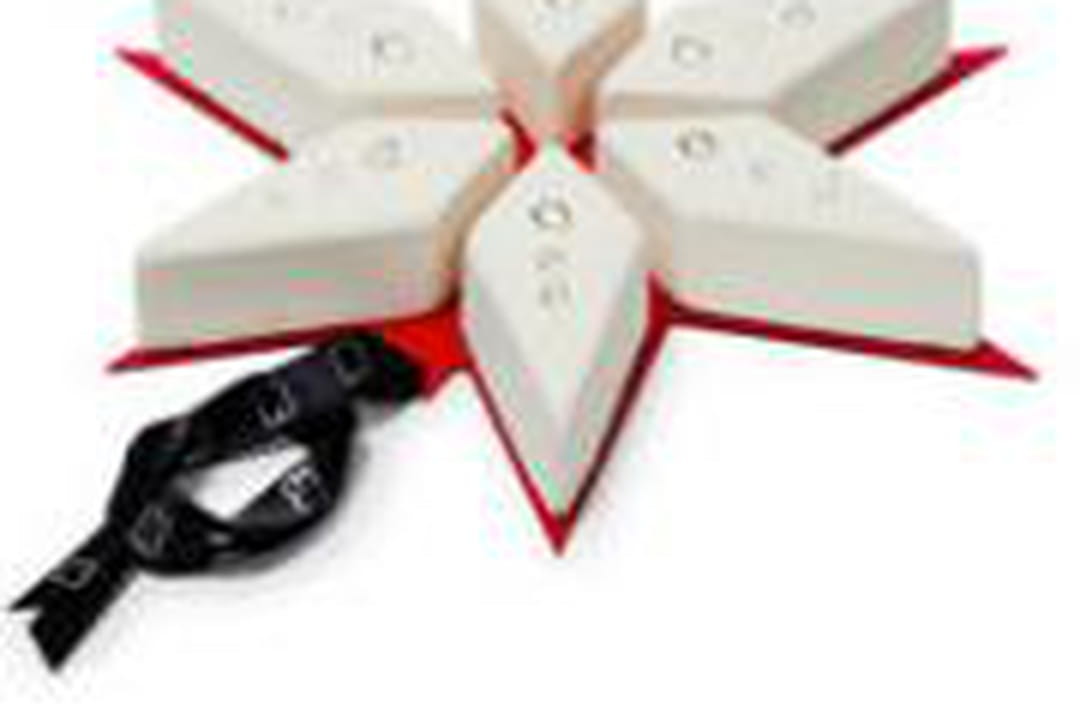 Bûche Etoile du Burgundy de Stéphane Tranchet, Burgundy Paris