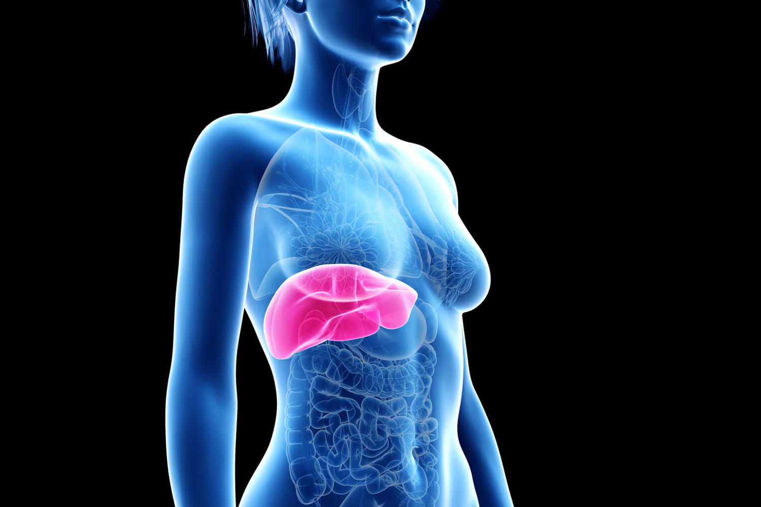 H mochromatose D finition Sympt mes Et Diagnostic h-mochromatose-d-finition-sympt-mes-et-diagnostic