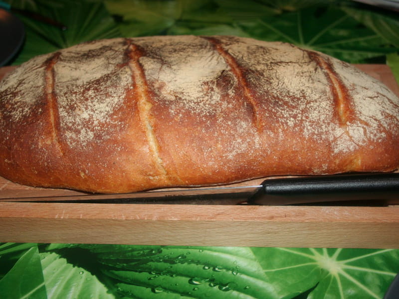 Recette de Pain rustique