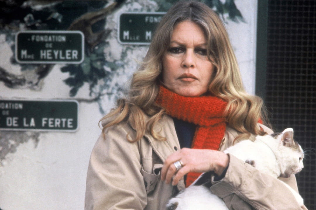 Brigitte Bardot, "ridicule" et "cruche" ? Pourquoi elle a arrêté le cinéma