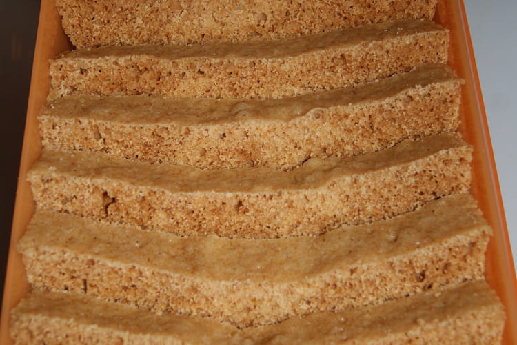 Recette de Pain d'épice au micro-ondes