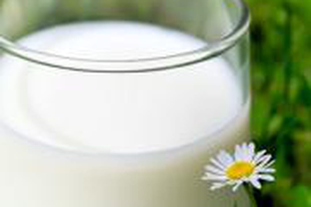 Le lait est dans le pré