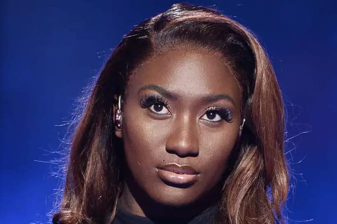 Aya Nakamura, en concert au Stade de France : la somme astronomique touchée