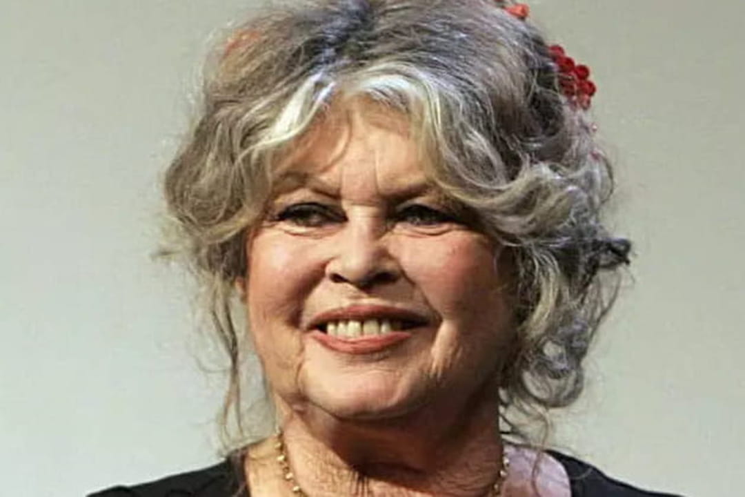 Brigitte Bardot, aux anges : "le miracle de Noël"