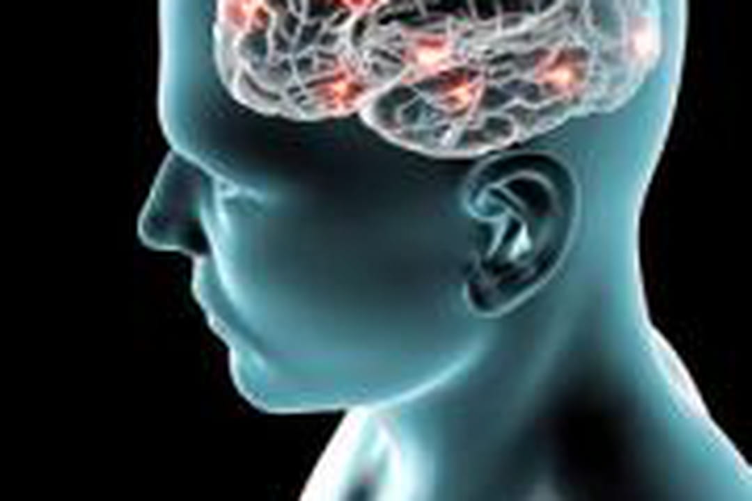 Le cerveau est composé à 80 % d'eau