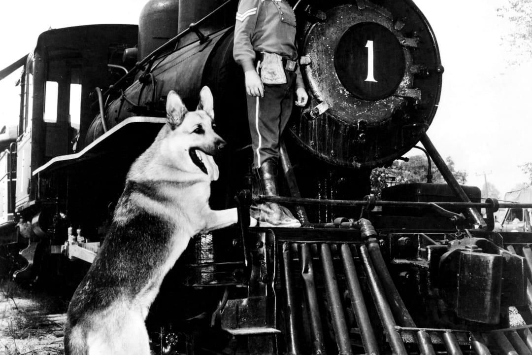 Mort de l'acteur Lee Aaker (Rintintin)