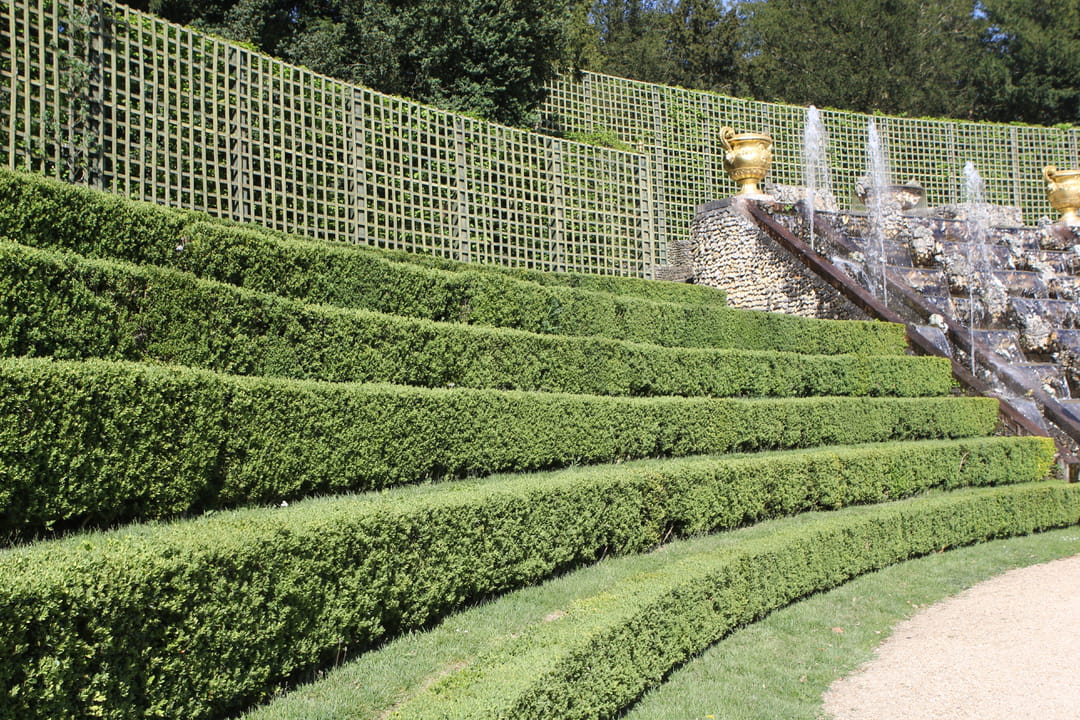 Les gradins du bosquet des Rocailles