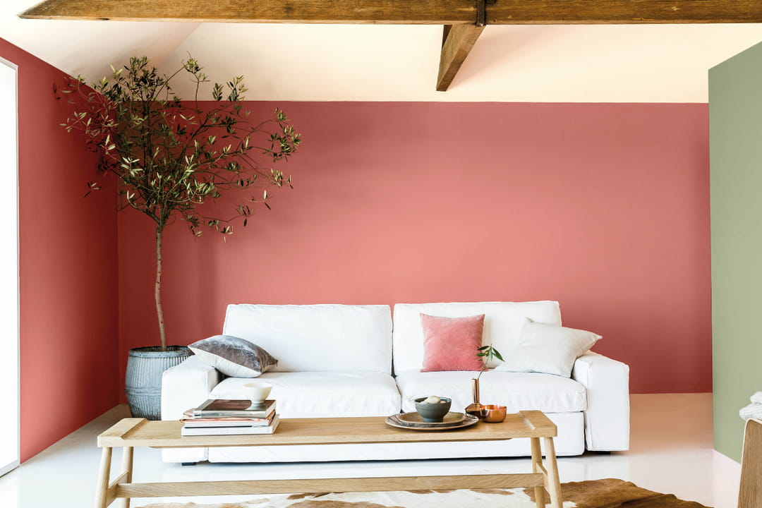 Le rose safran de Maître en couleur