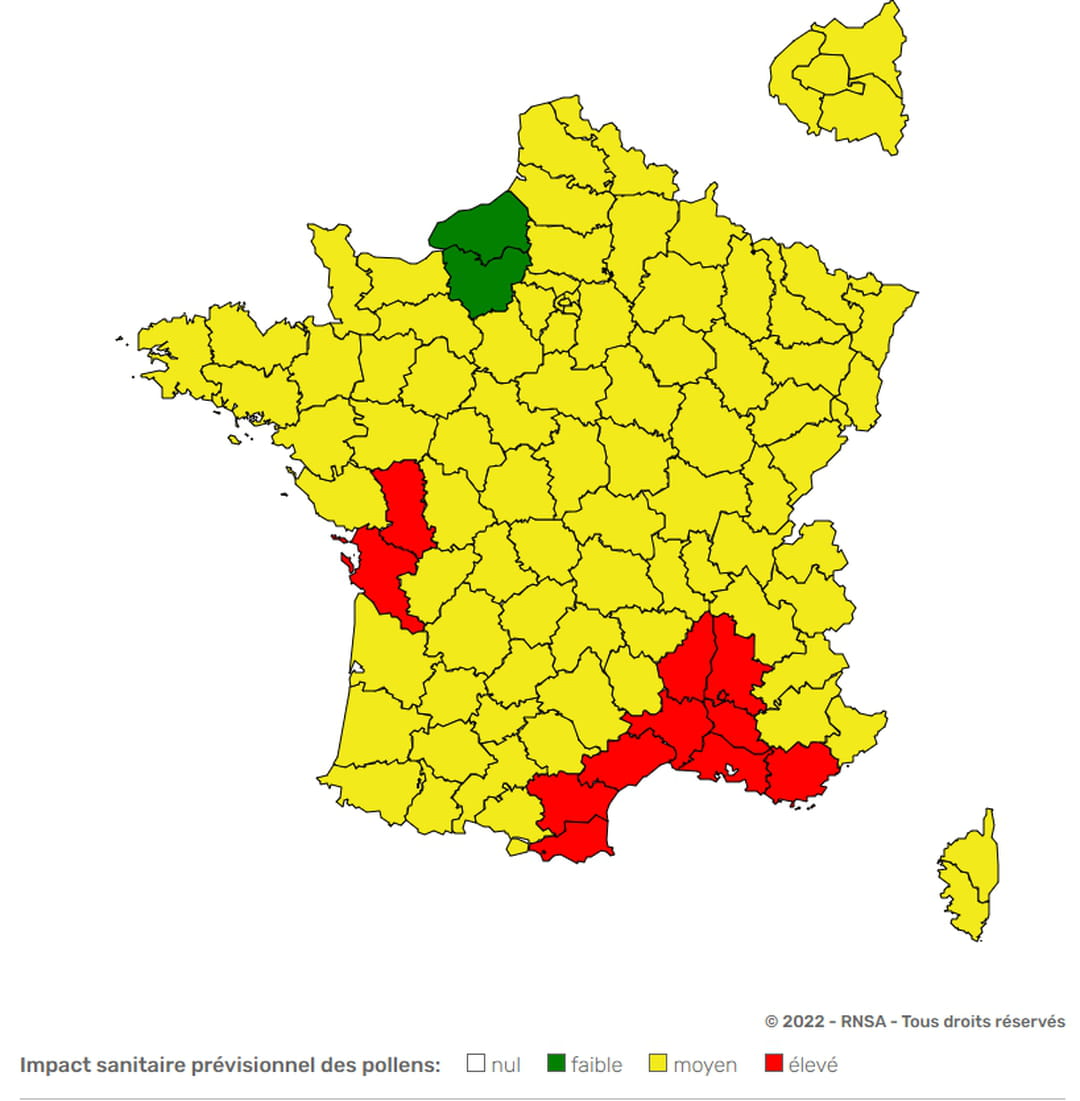 Pollen map 2022: where are the allergies right now? - Earth Press News